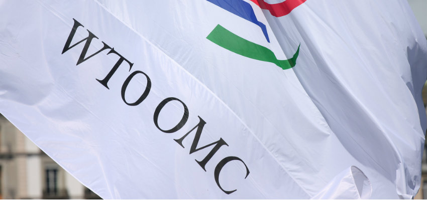Entran en vigor en la OMC nuevas normas para simplificar el comercio de ...