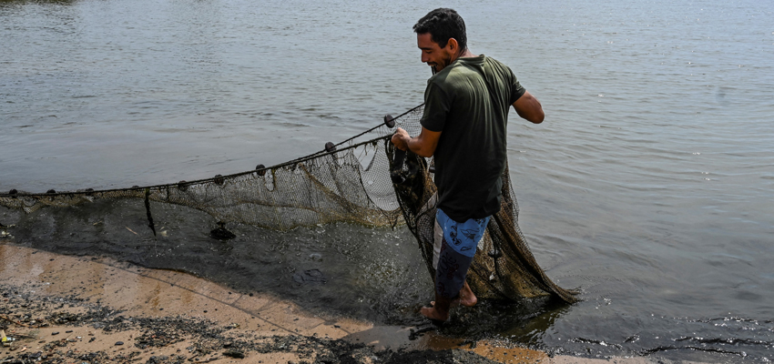 Venezuela y Brasil establecen un proyecto bilateral para impulsar la ...