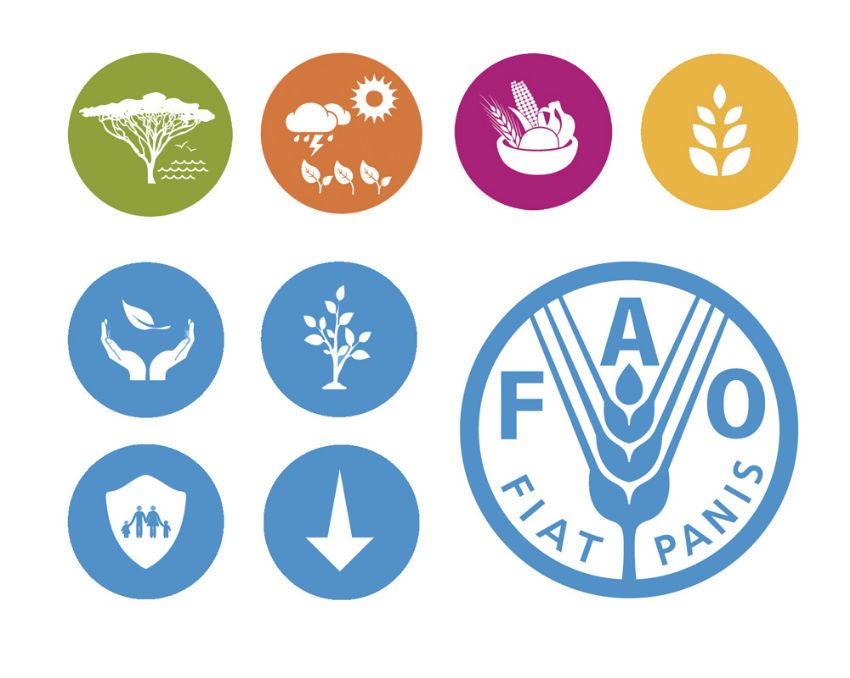 FAO y CE: Las crisis alimentarias podrían multiplicarse en el mundo ...