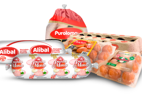 Purolomo emite papales comerciales por monto equivalente a US$750.000 ...