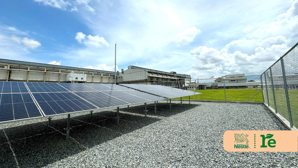 Nestlé inauguró primer parque de paneles solares de 50 kilovatios para ...